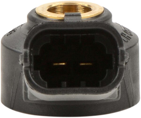 0261231173 - Bosch - Knock Sensor