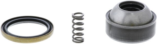 10018440 - Dana - Centering Ball And Race Assem