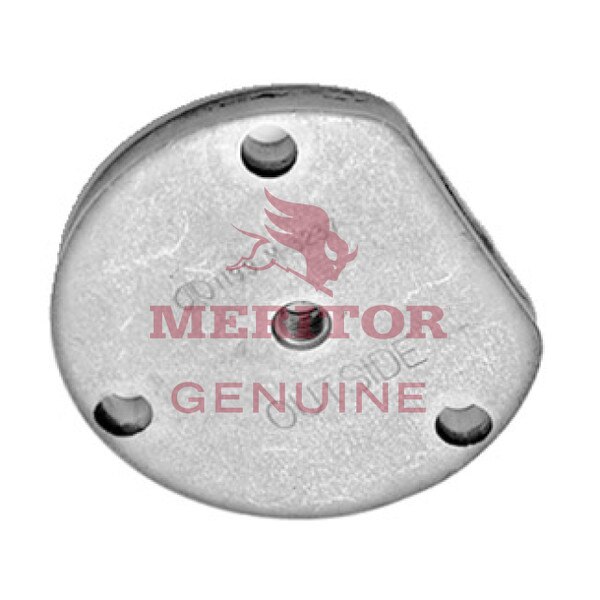 1199M3237 - Meritor - Kingpin Cap, Pack2Ea