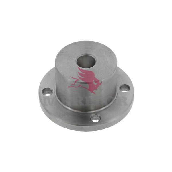 131N11313 - Meritor - Companion Flange