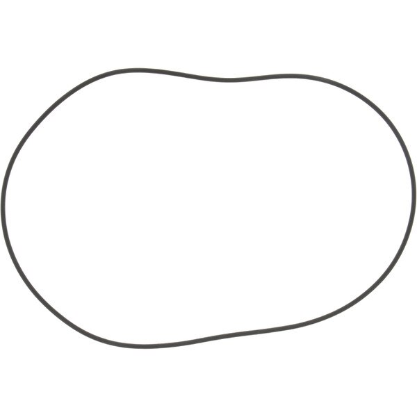 176.07.029.01 - Dana - O Ring